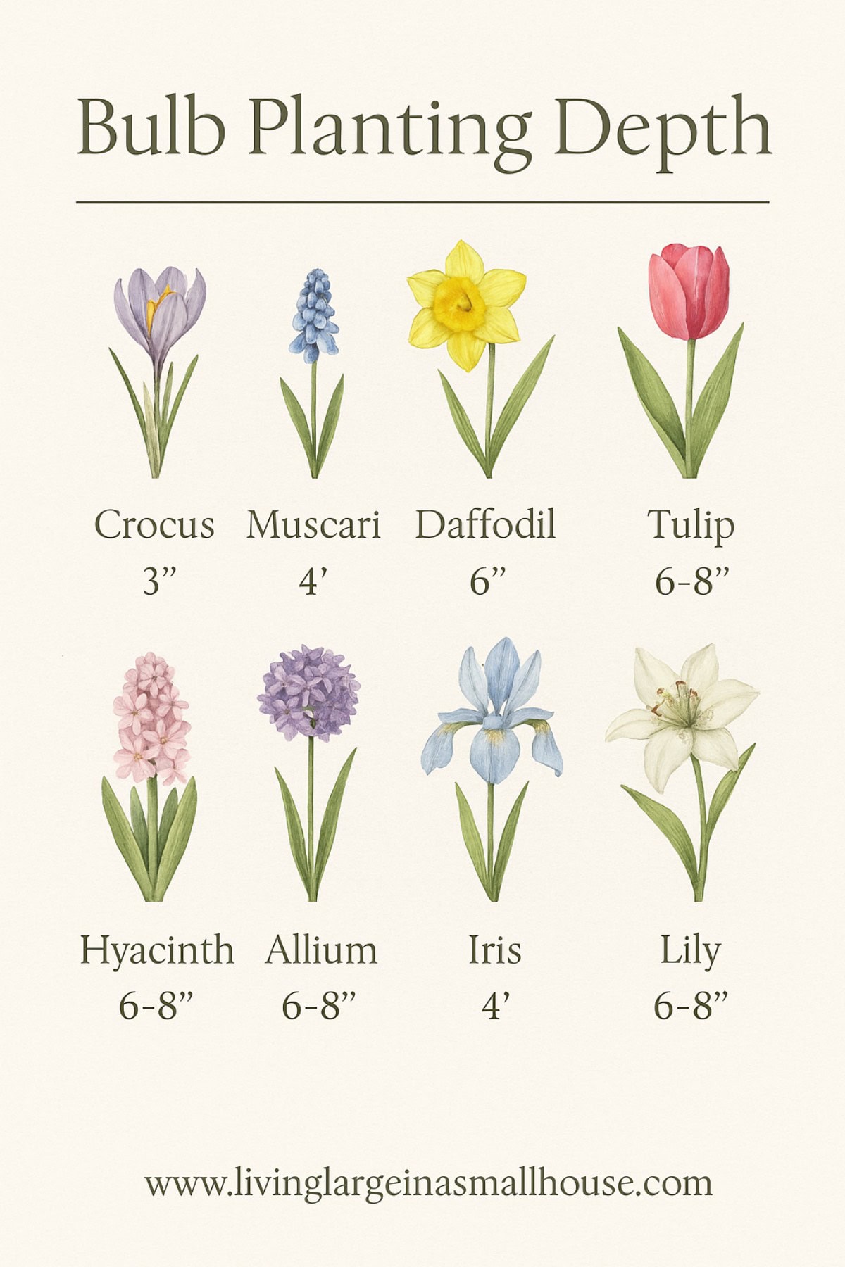 Living Large In A Small House, LLC | What to Plant in Fall for a ...