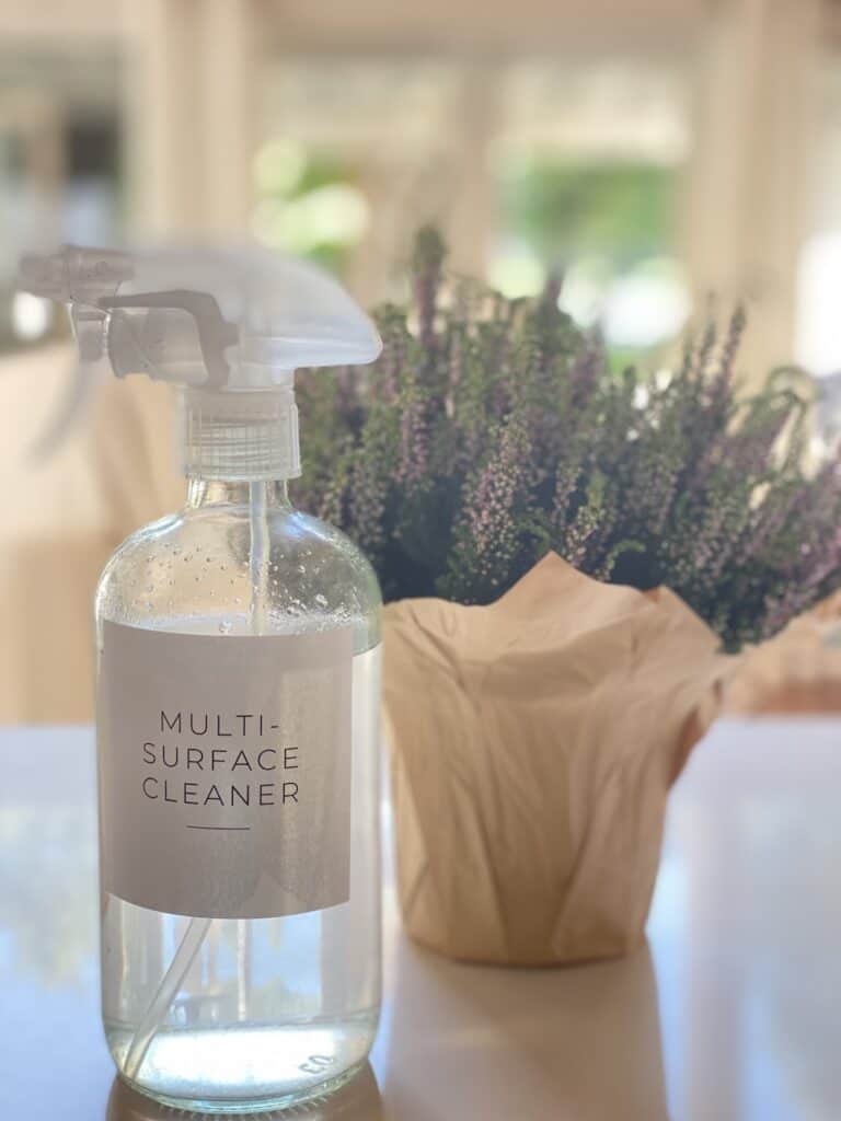 How to Make your Own Homemade Cleaning Products | Living Large In A ...