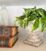 Living Large In A Small House, LLC | Organizing My Paperwork and Going Paperless(ish)