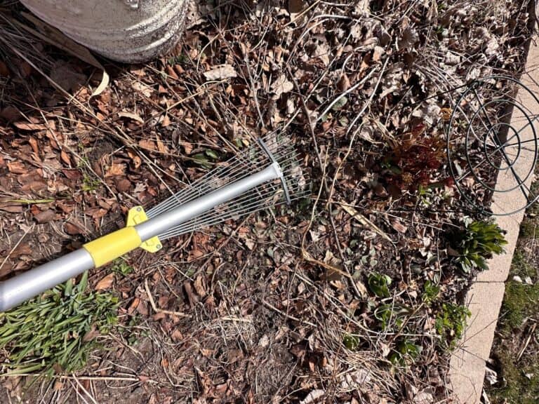 23 Simple Spring Garden Cleanup Tips (+ Free Checklist) | Living Large ...