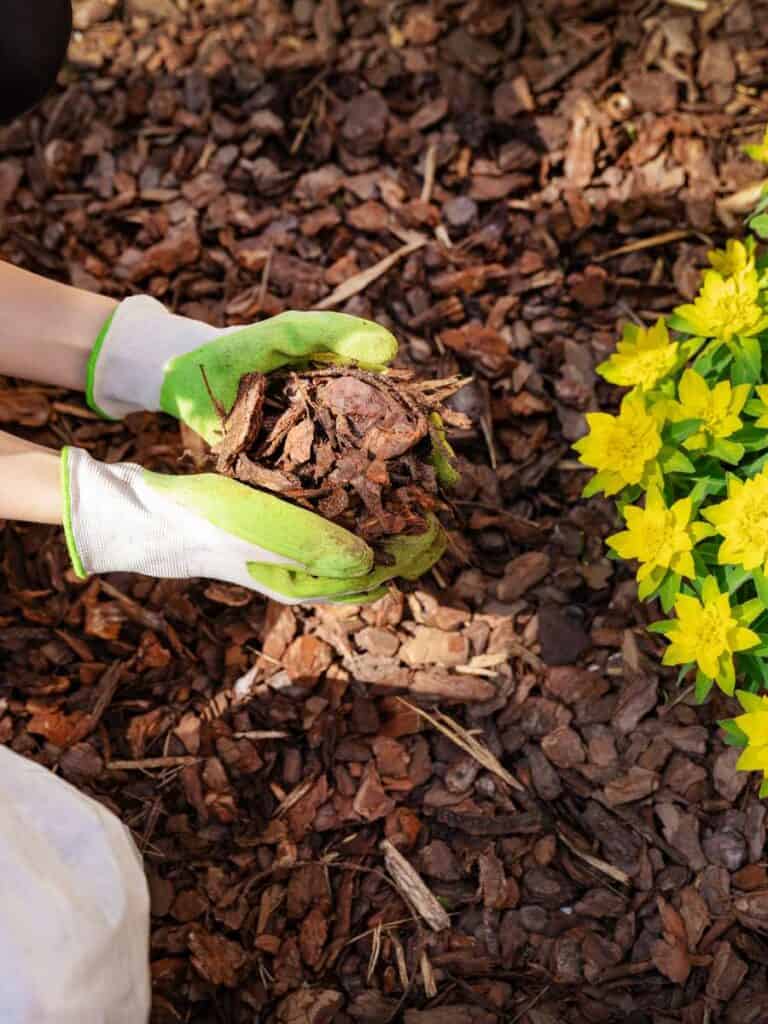 Should you buy Bagged or Bulk Mulch? How to Choose! | Living Large In A ...