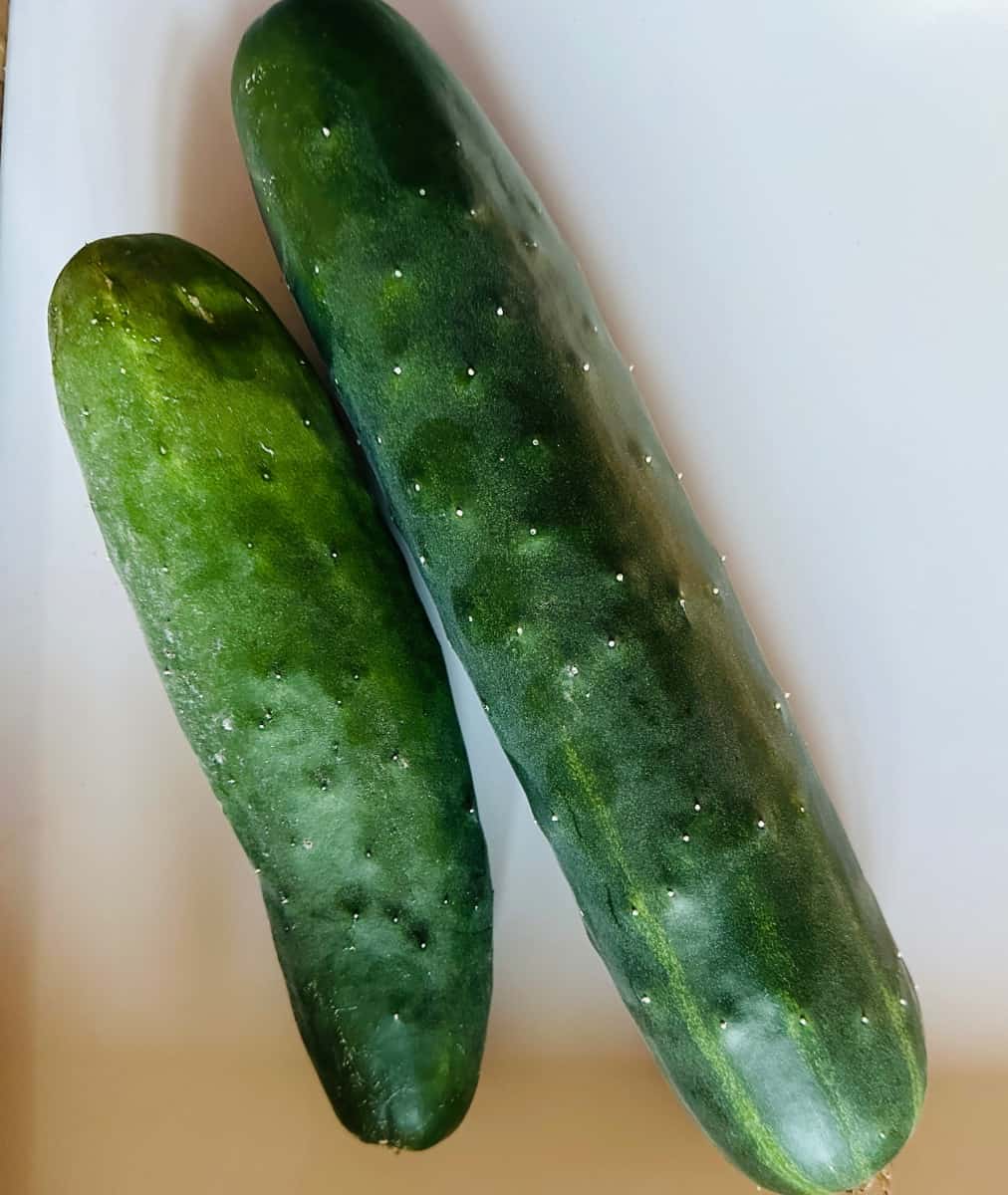 Living Large In A Small House, LLC | Grandma's Super Simple Cucumber Salad Recipe